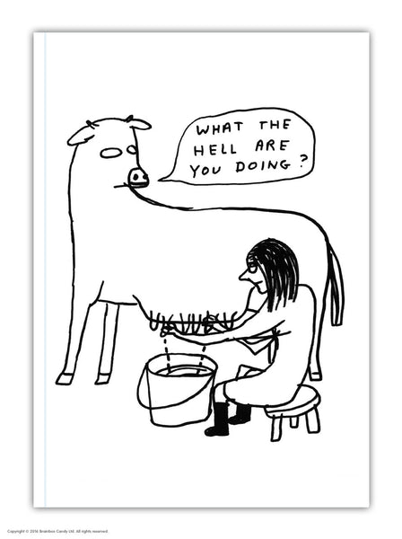 David Shrigley | What the hell A6 notebook | Discover at Cuemars – CUEMARS